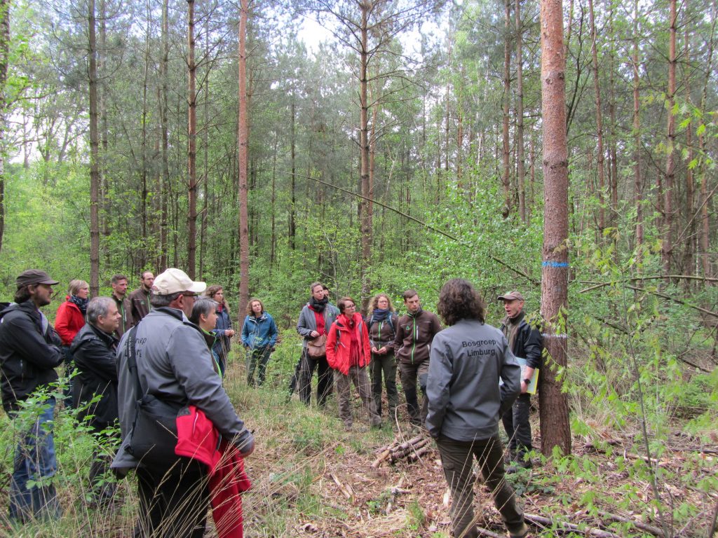 Cursus ‘Klimaatslim bosbeheer’ | Bosgroepen.be